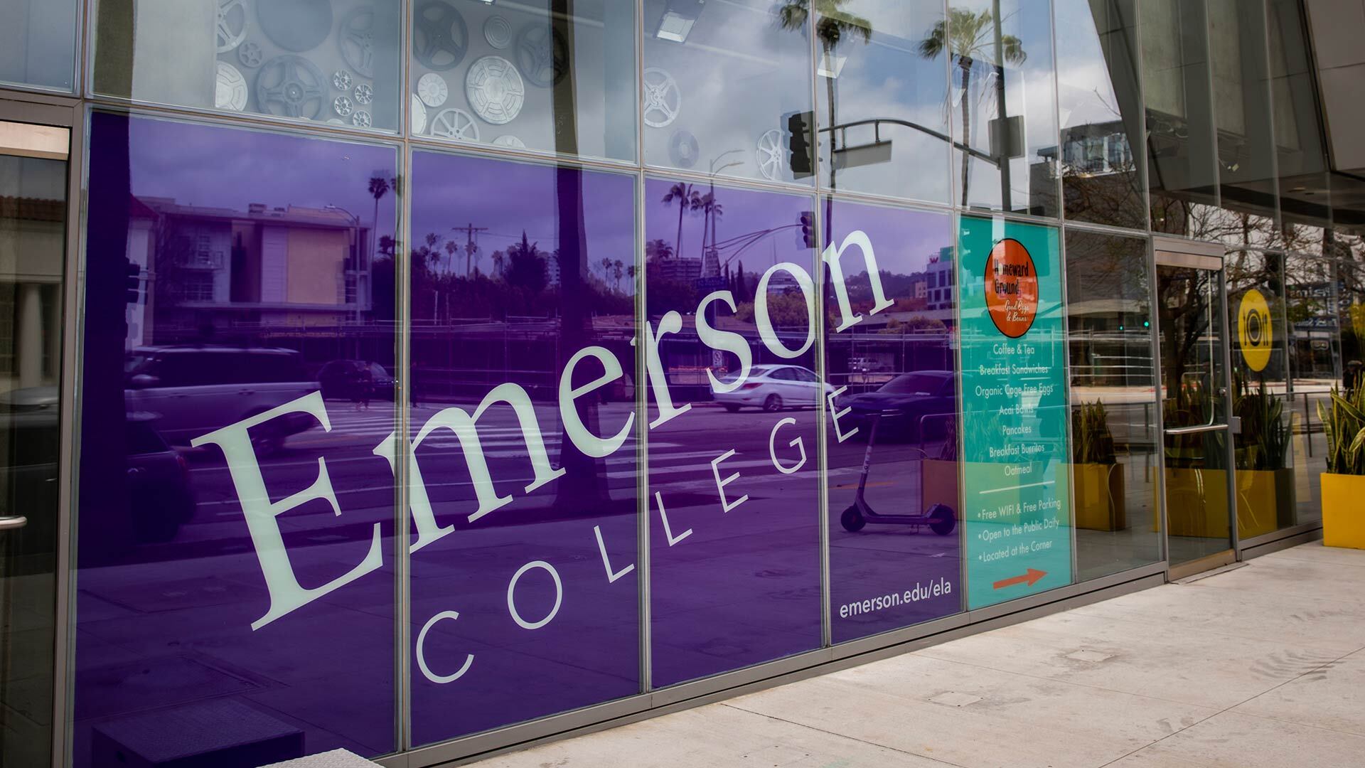 Gallery | Ardence & Bloom