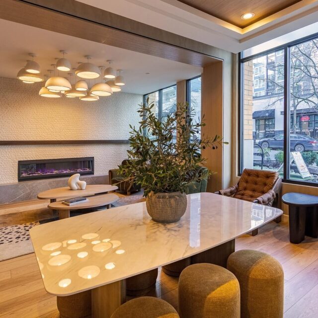 Gallery | Live Stokely