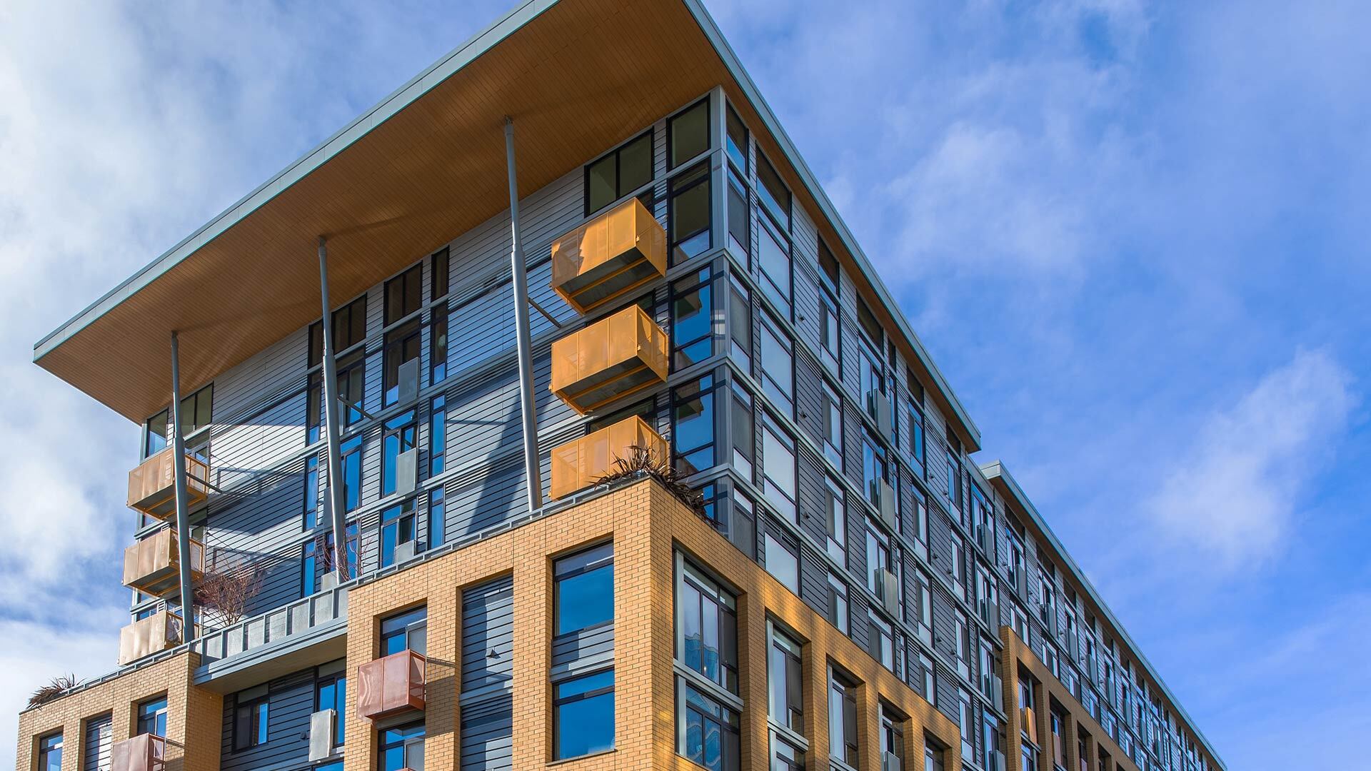 Gallery | Live Stokely