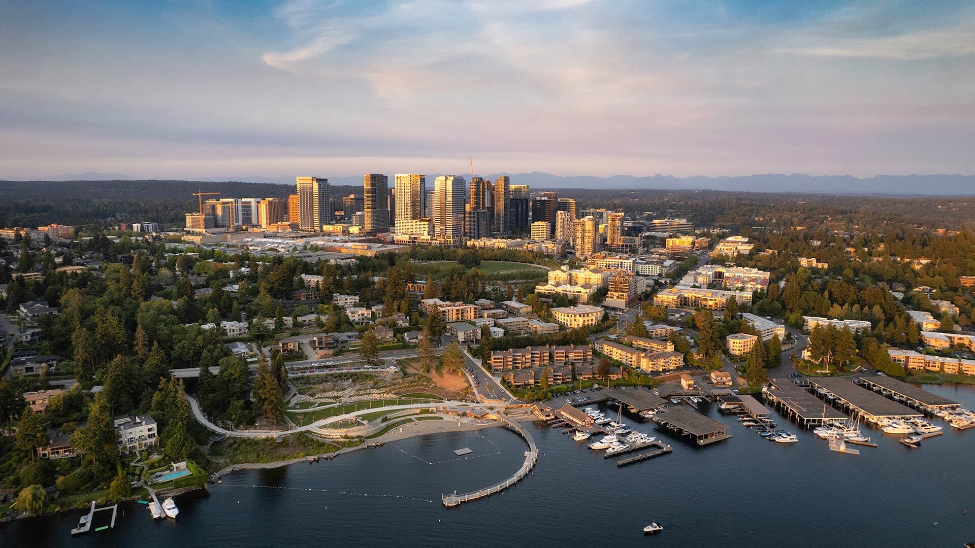 Gallery | Live Stokely